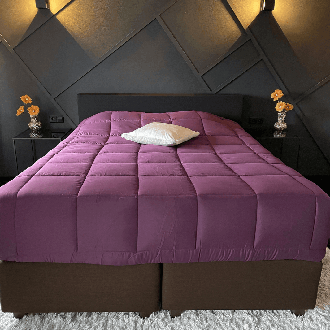 Easybed Light - Zelesta.de